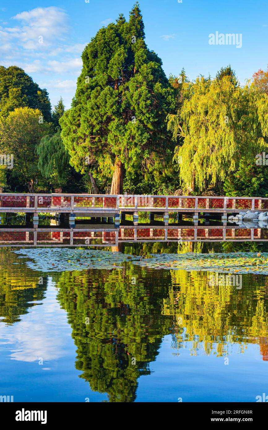 Minoru Lakes inner city park in Richmond British Columbia Canada Stock ...