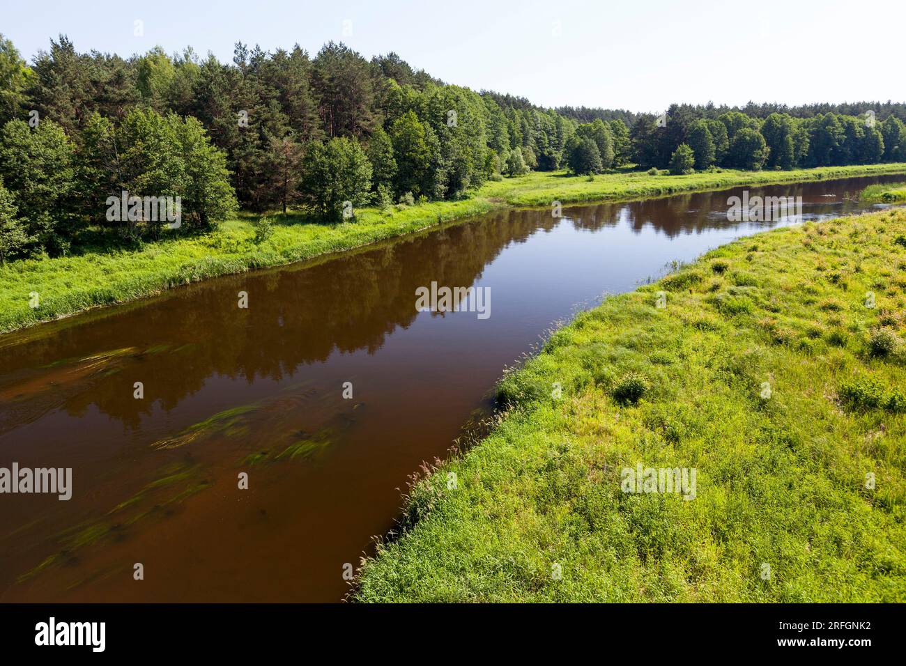 a summer landscape with green grass and deciduous trees and a river ...