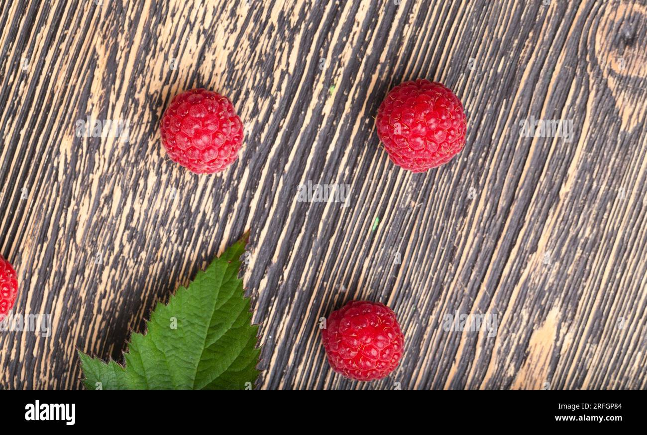 harvested red raspberries, large red garden raspberries in wooden ...