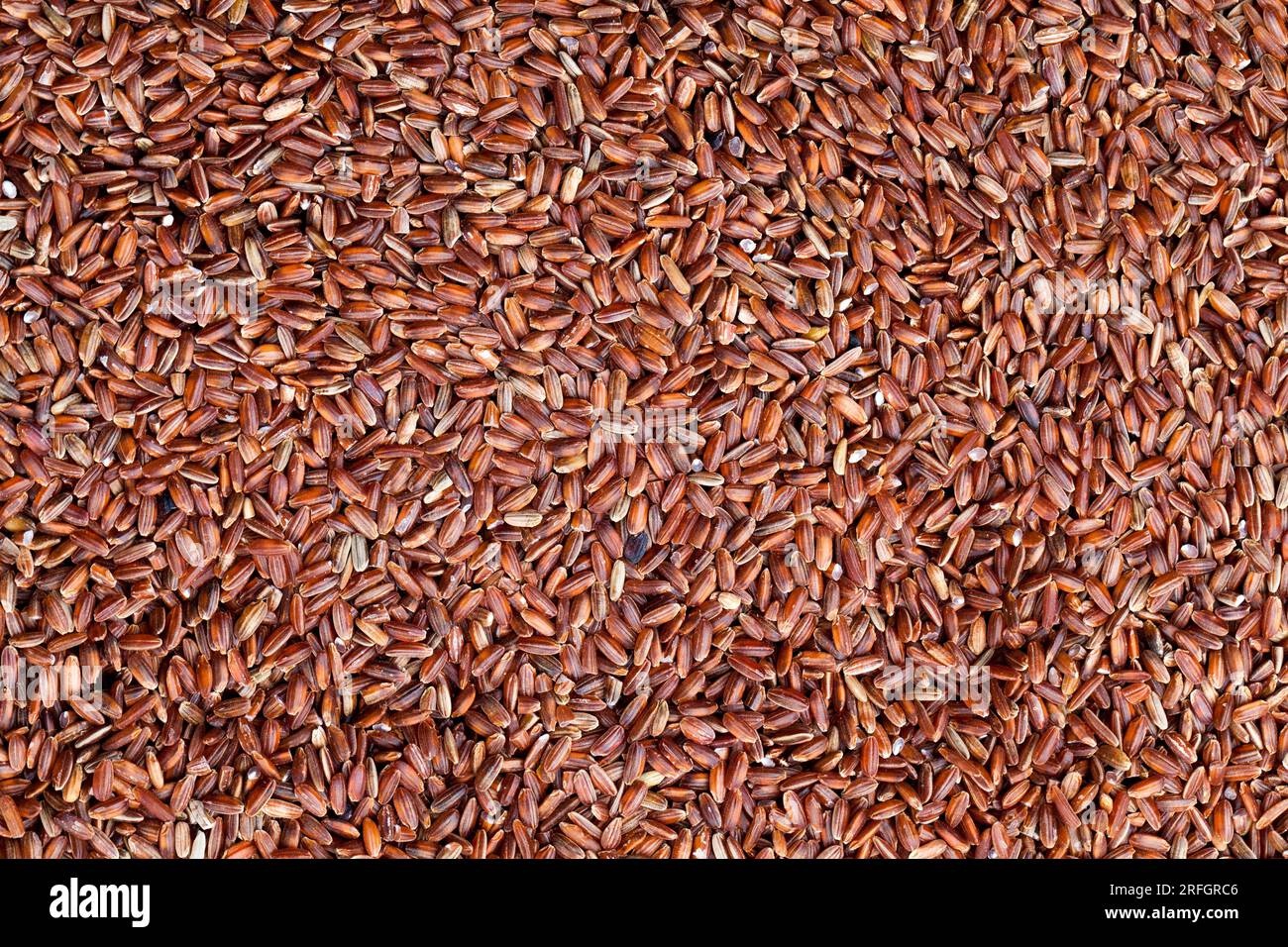 red ripe rice, raw uncooked red rice, unpeeled to preserve the ...