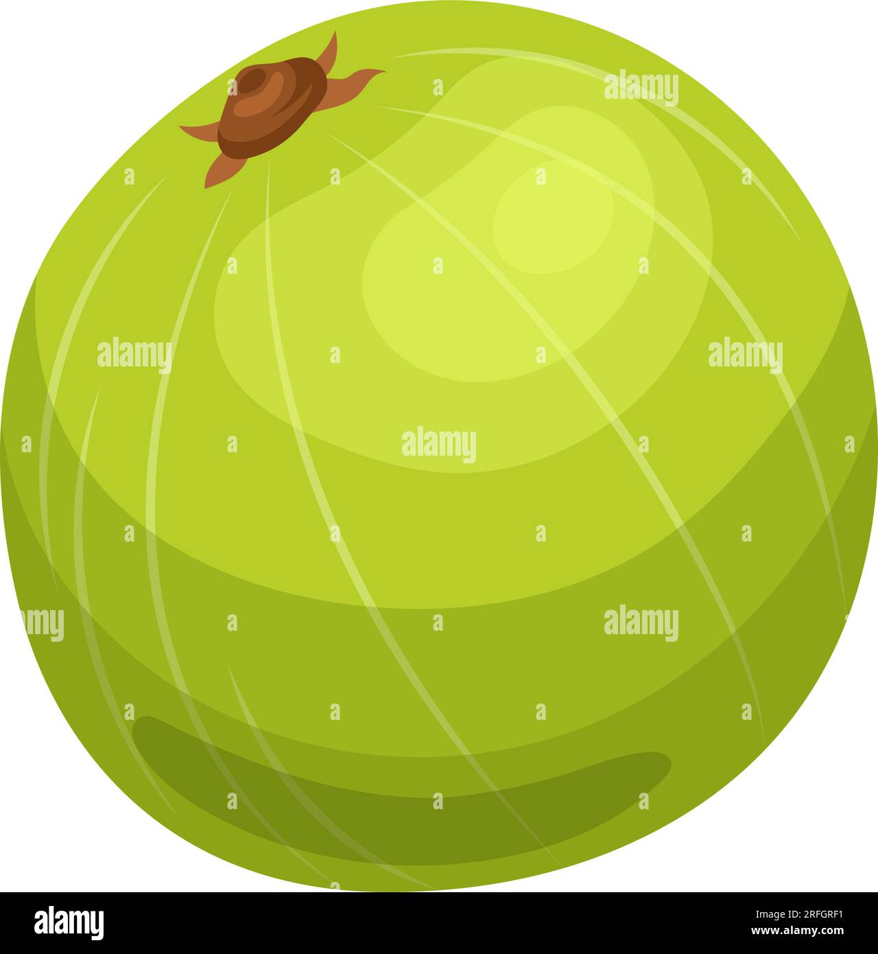 green amla fruit cartoon vector illustration Stock Vector Image & Art ...