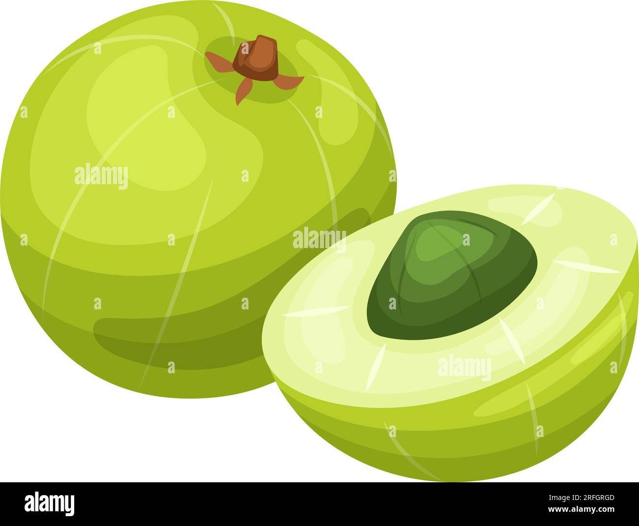 indian amla fruit cartoon vector illustration Stock Vector Image & Art ...