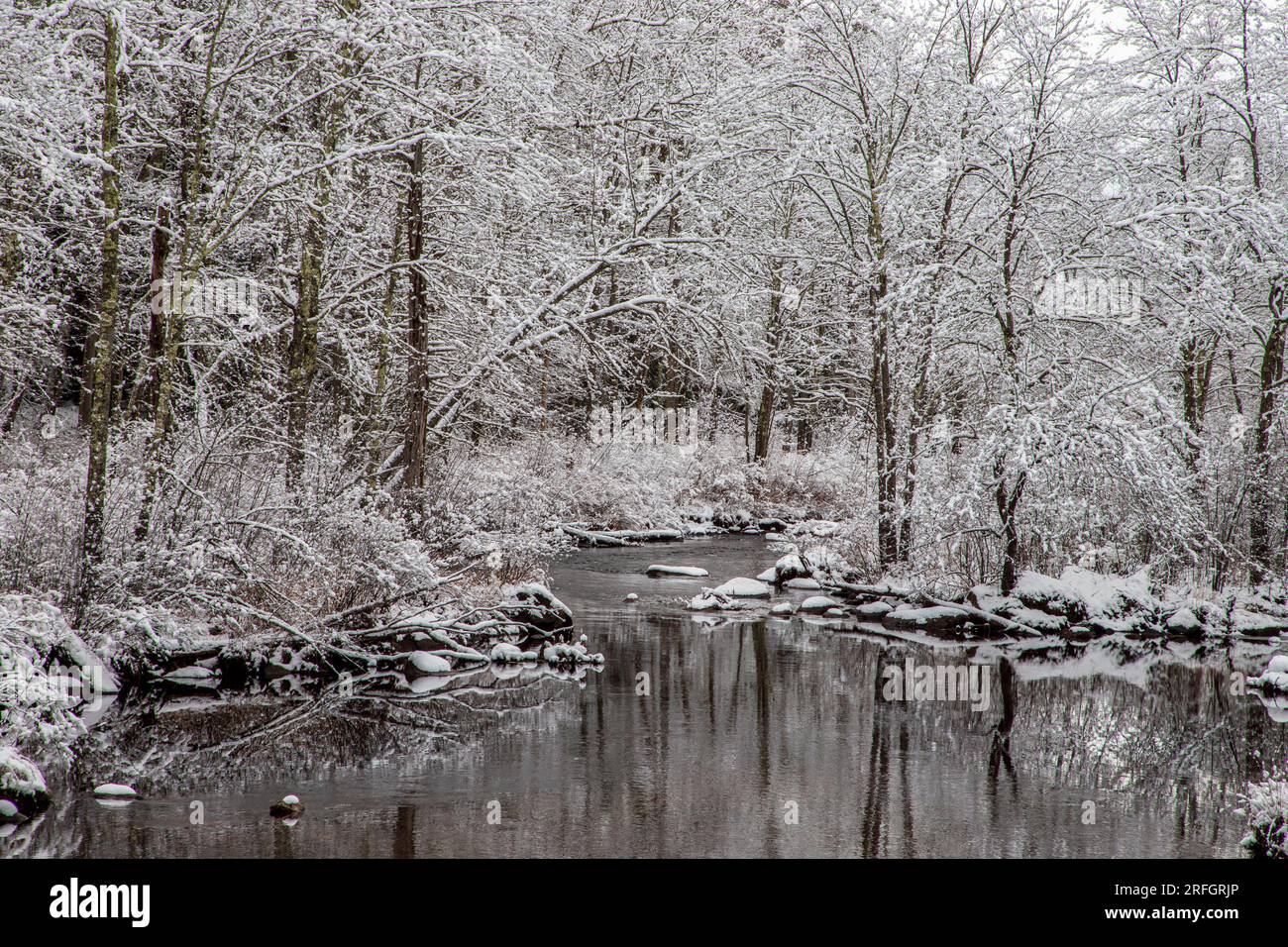 Tully River in Royalston, MA after a snow storm Stock Photo - Alamy