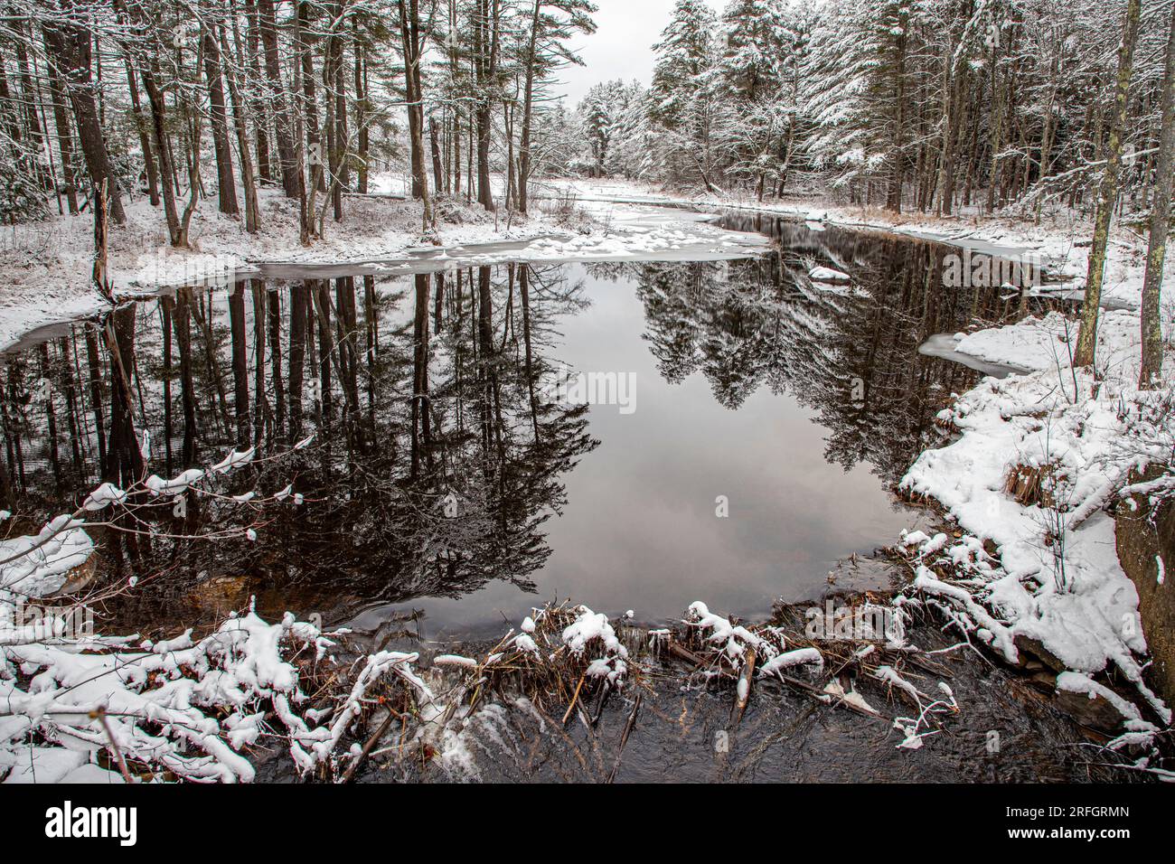 The East Branch of the Swift River just after a snow storm - Petersham ...