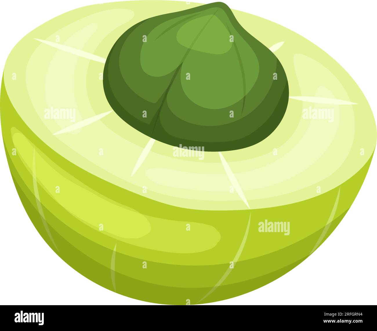 leaf amla fruit cartoon vector illustration Stock Vector Image & Art ...