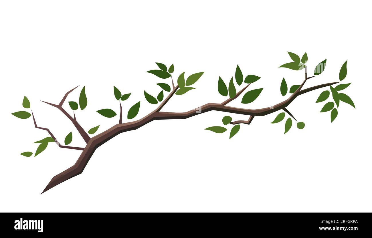 Tree branch in flat style. Spring tree branches with different leaves ...