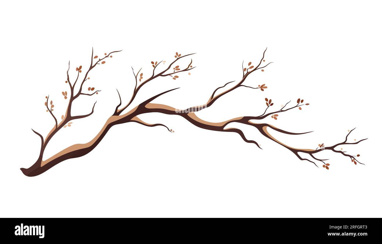 Tree branch in flat style. Spring tree branches with different leaves ...