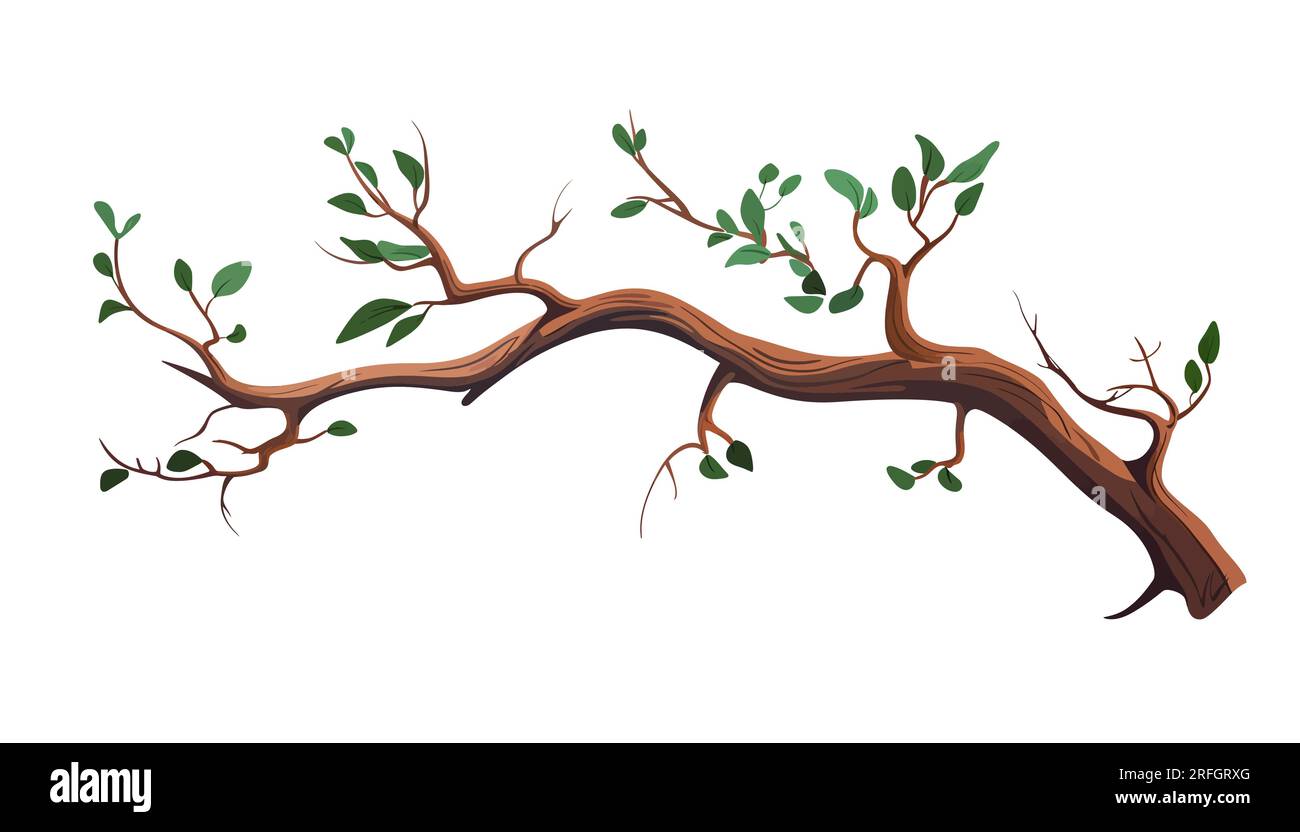 Tree branch in flat style. Spring tree branches with different leaves ...