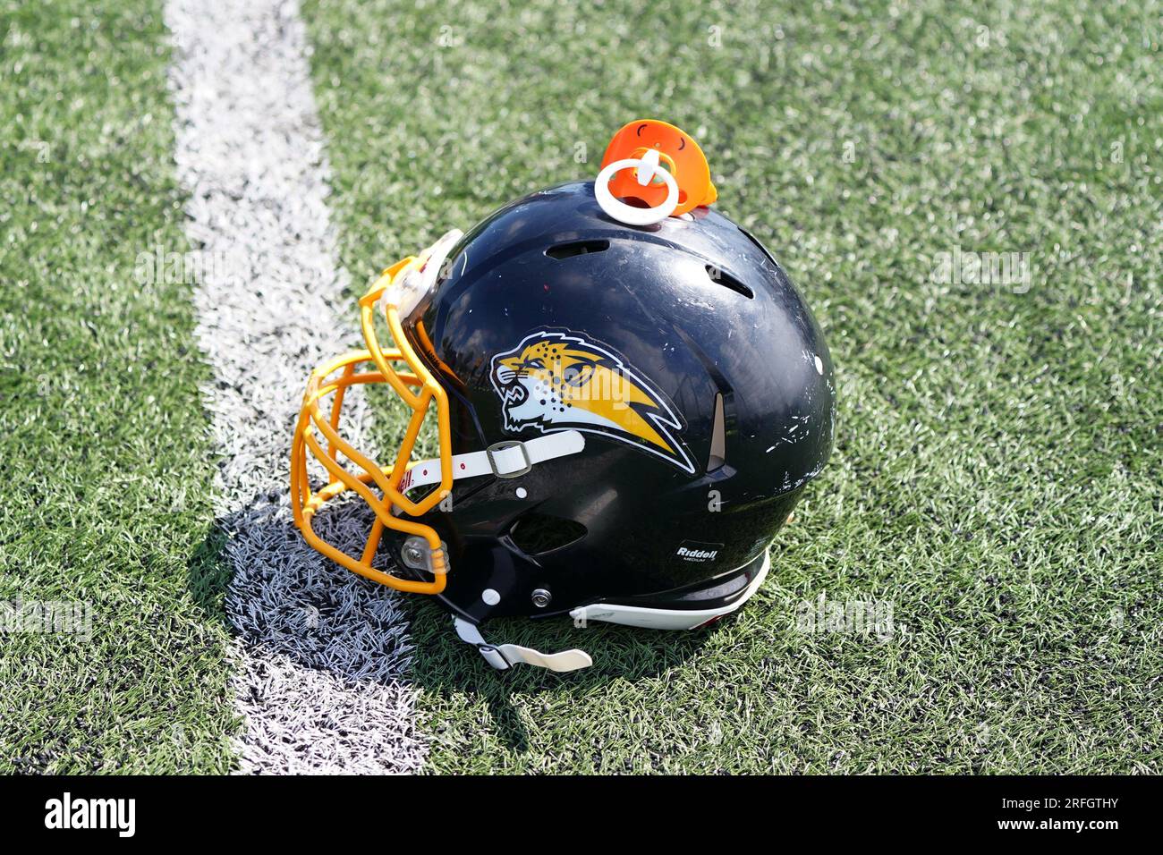 Herts cheetahs hi-res stock photography and images - Alamy