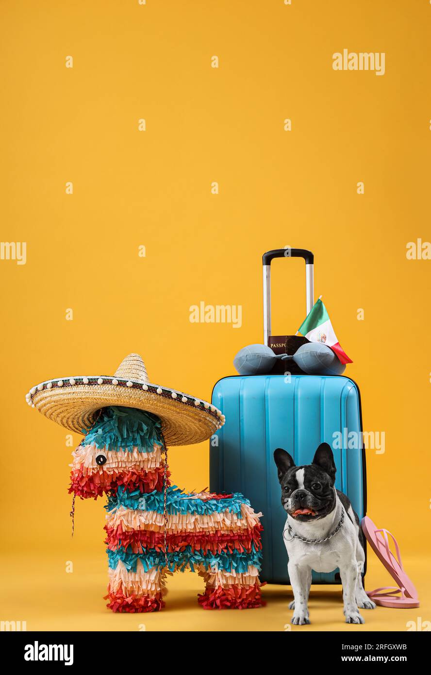 French bulldog with beach accessories, suitcase and Mexican pinata on ...