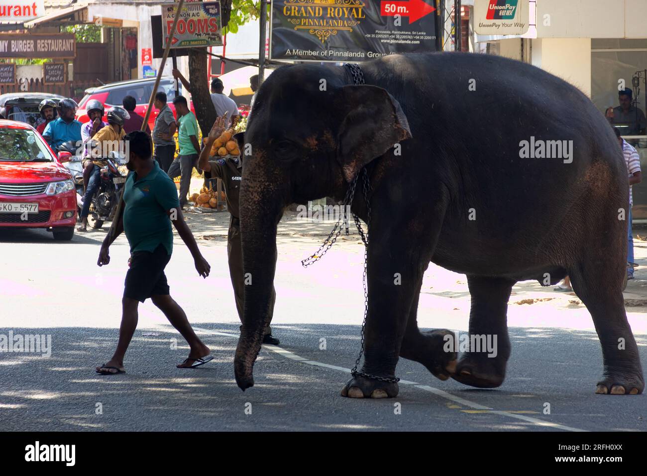 Kandy sri lanka national park hi-res stock photography and images - Alamy