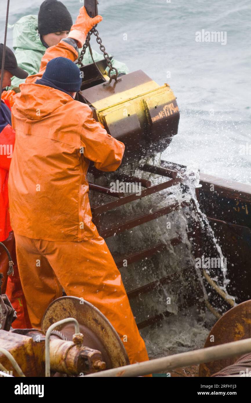 RUSSIA, Pacific ocean - September 4, 2011: Science. Biology of sea ...