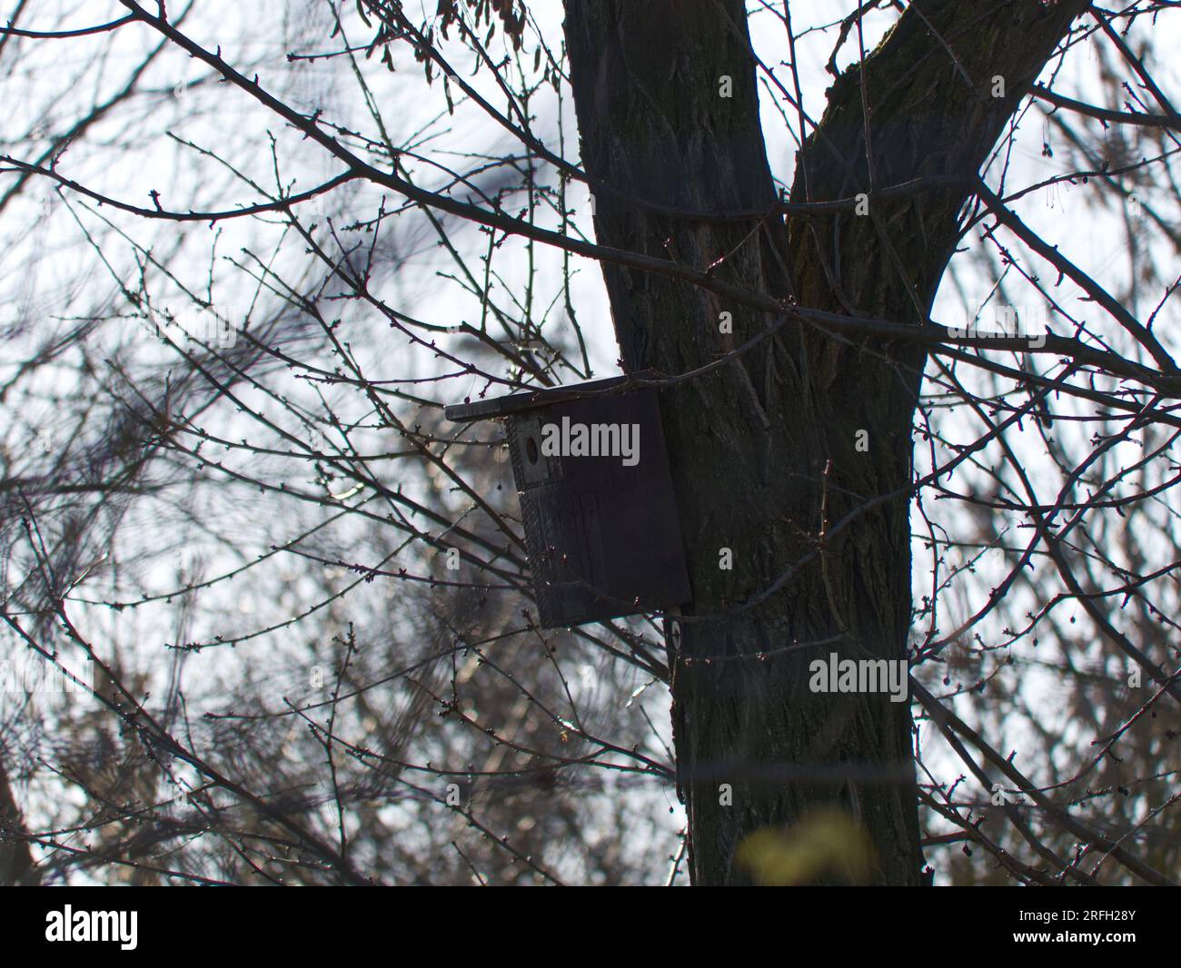 Bird home hi-res stock photography and images - Alamy