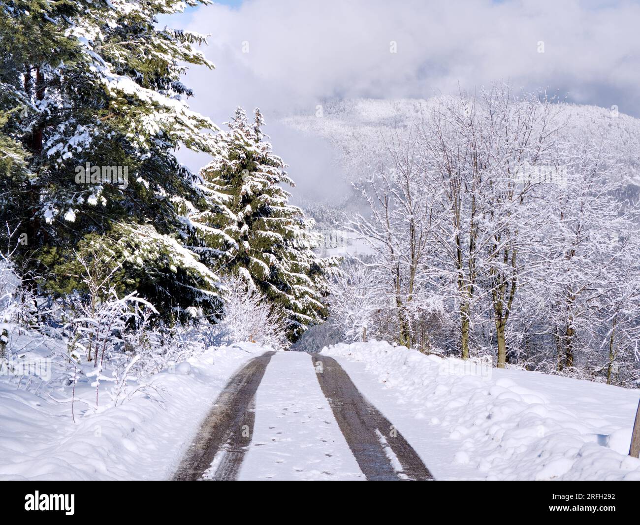 Snowy road going over the horizon Stock Photo - Alamy