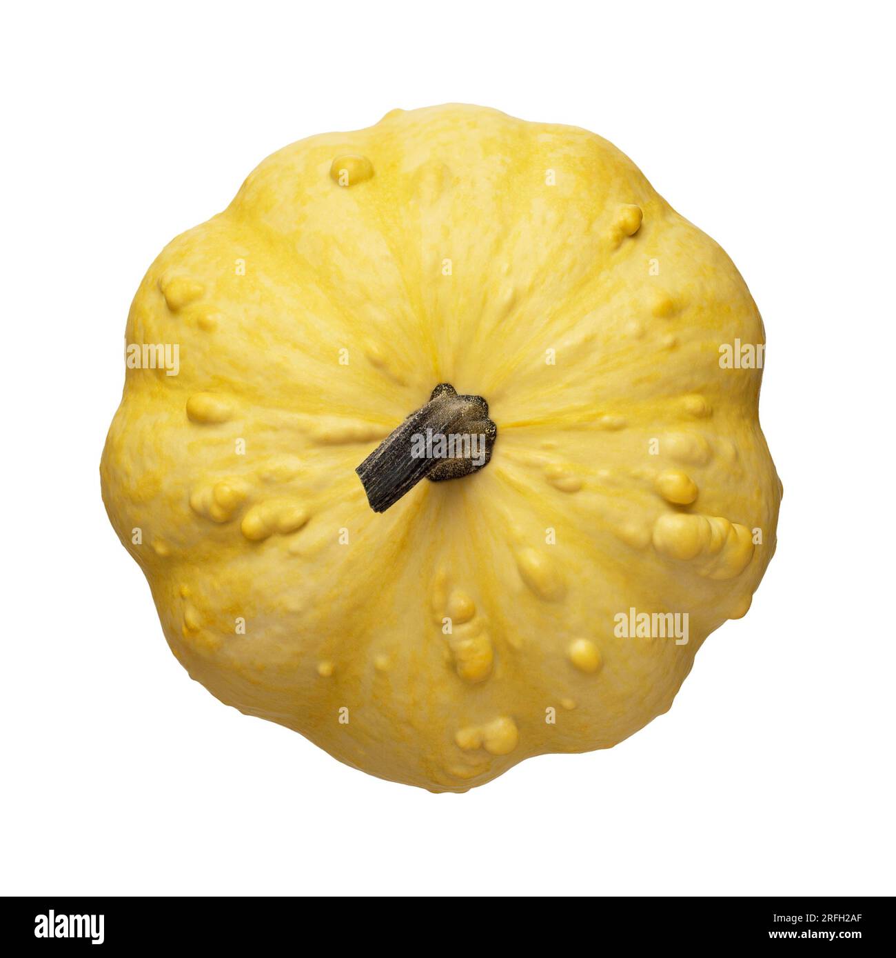 Yellow Decorative Gourds Isolated on White Background Stock Photo - Alamy