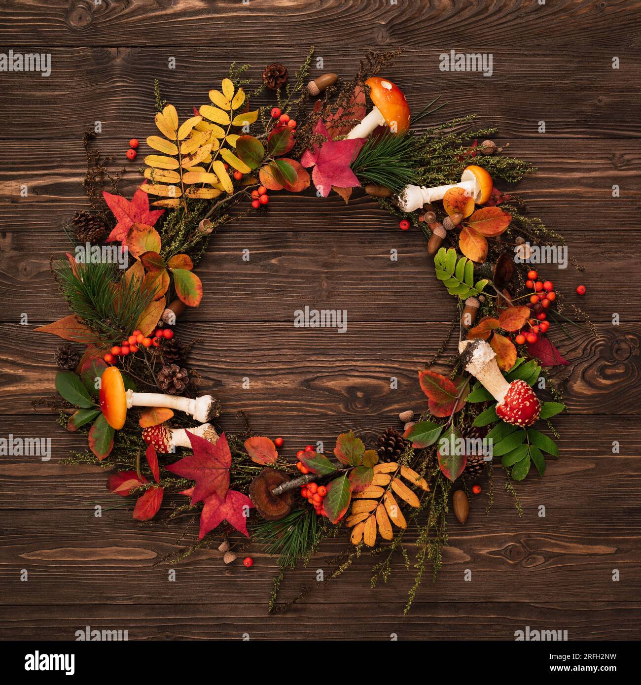 Fall border hi-res stock photography and images - Alamy