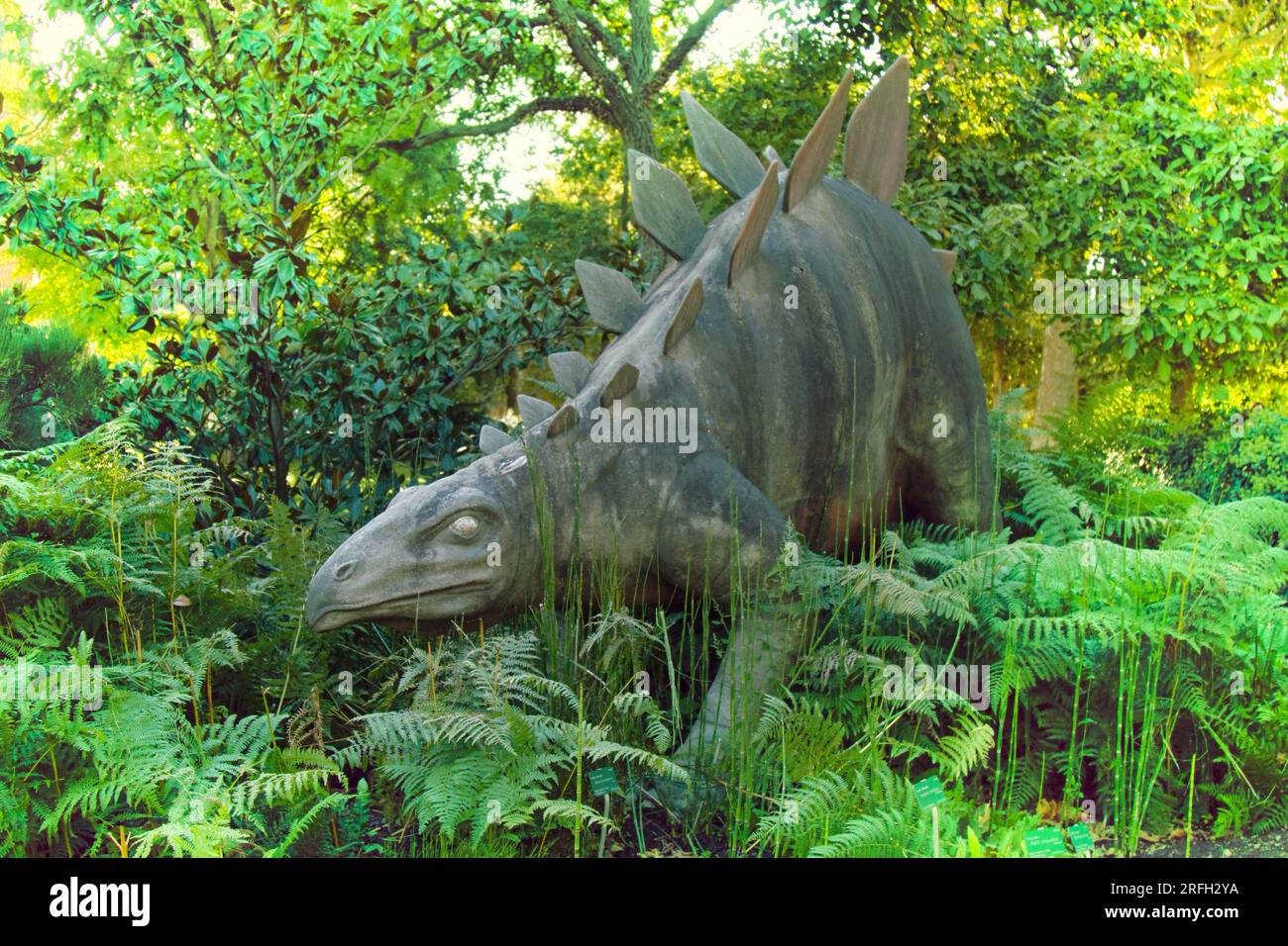 Stegosaurus anatomy hi-res stock photography and images - Alamy