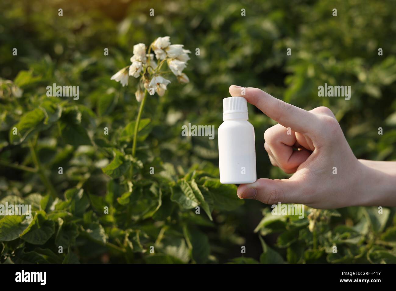 Garden season problems and solution. Cropped photo hand of farmer holds ...