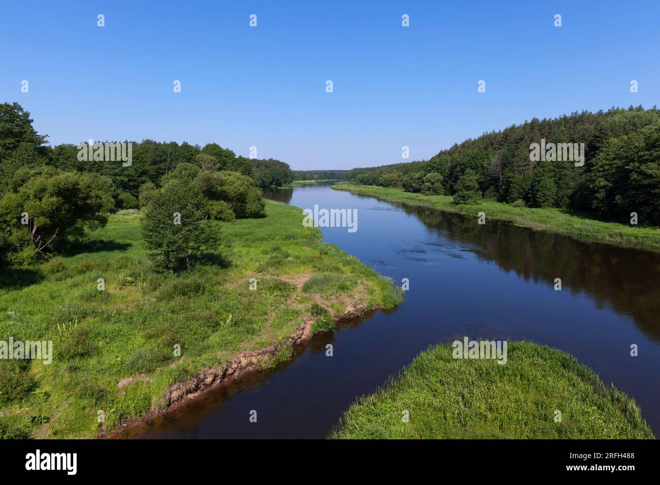 a summer landscape with green grass and deciduous trees and a river ...