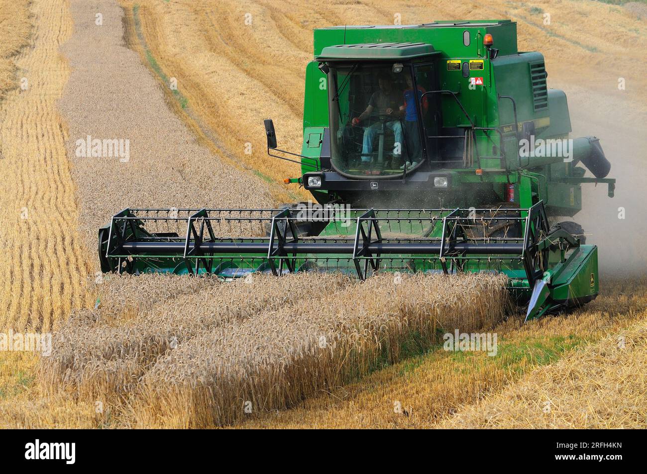 Combine harvester cutting corn crop near Great Bedwyn, Wiltshire, UK ...