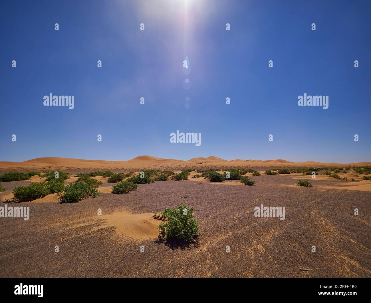 Dry and arid deserted region in a desert landscape in the mountains of ...