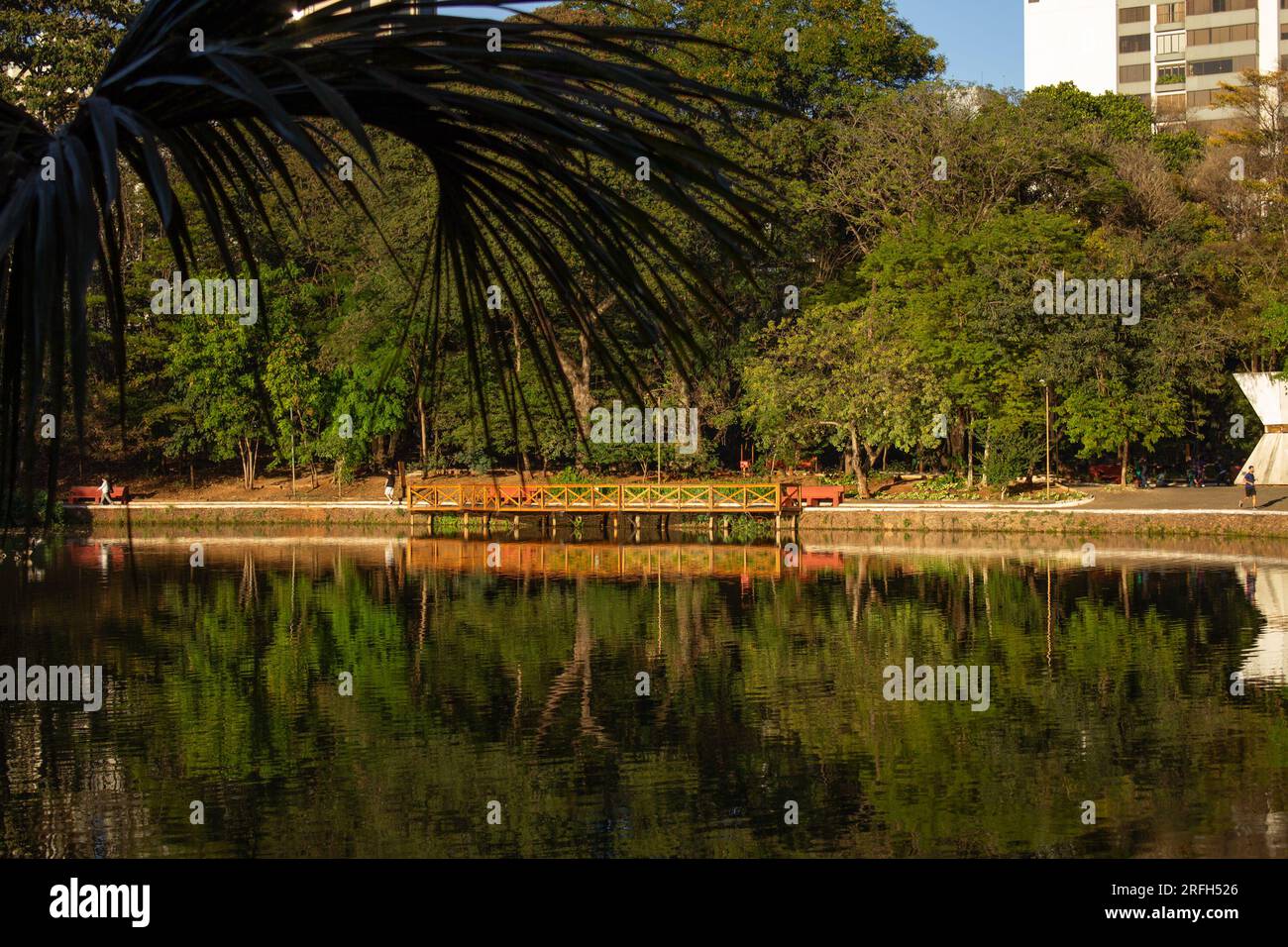 Goiania, Goias, Brazil – August 03, 2023: Landscape of Bosque dos ...