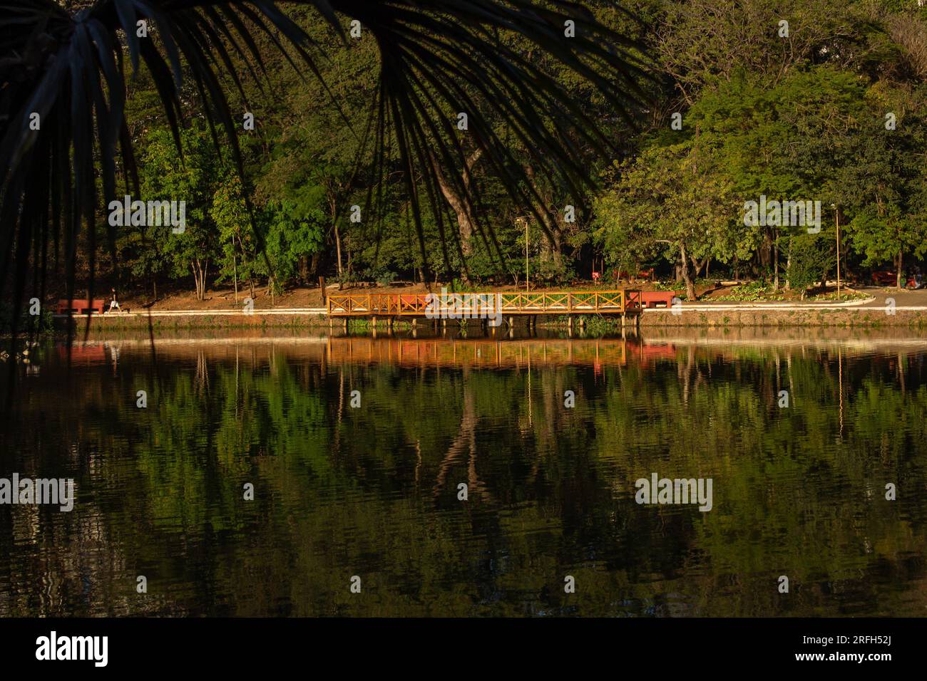 Goiania, Goias, Brazil – August 03, 2023: Landscape of Bosque dos ...