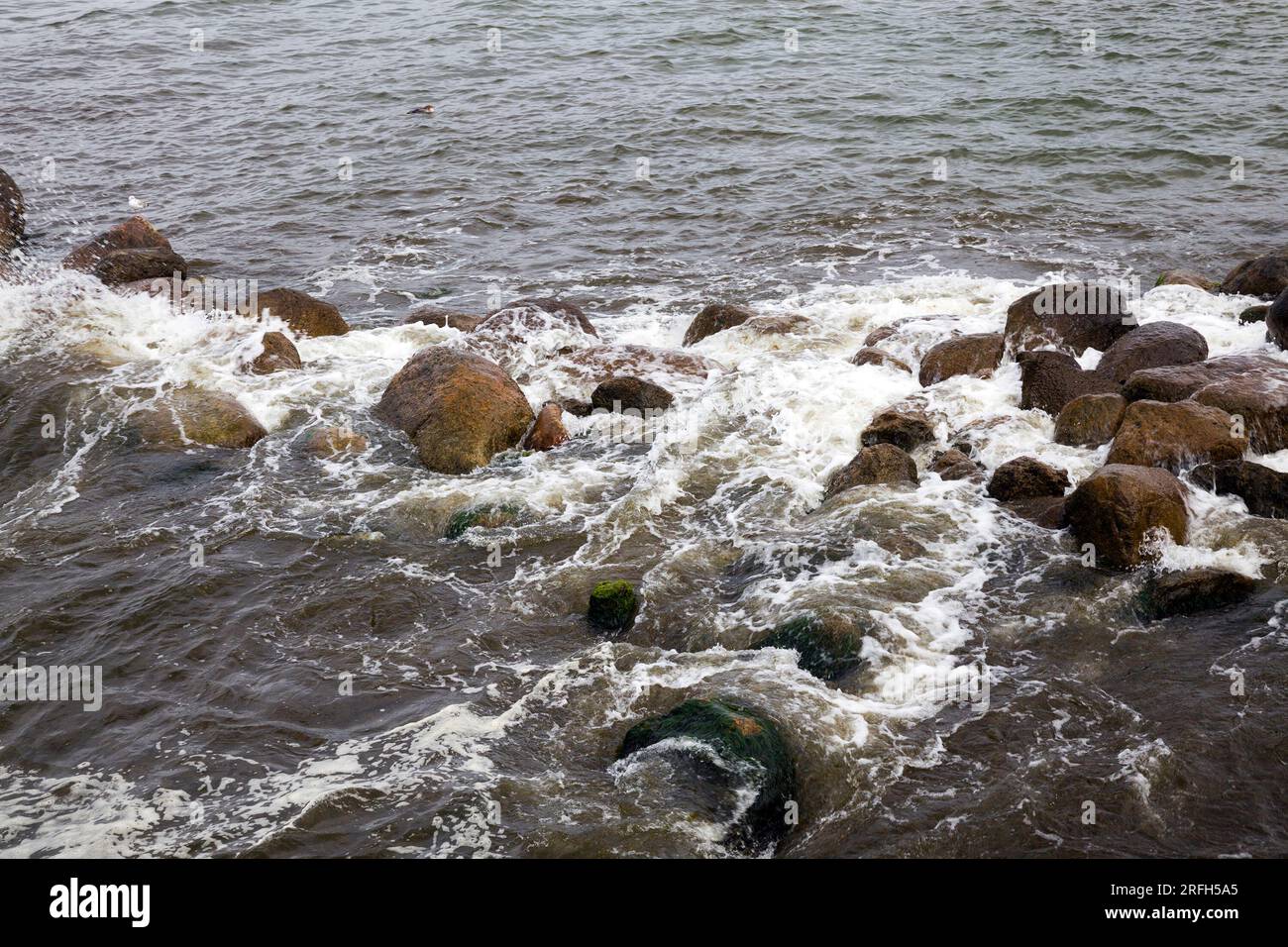 cold Baltic sea in August, summer holidays and seaside vacations 2022 ...