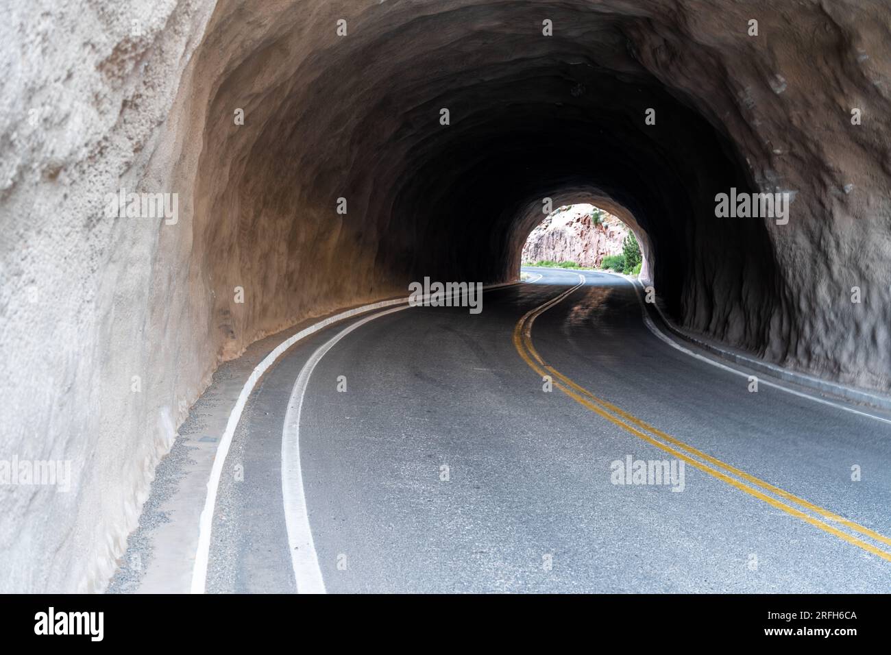 Traffic light tree cut out hi-res stock photography and images - Alamy
