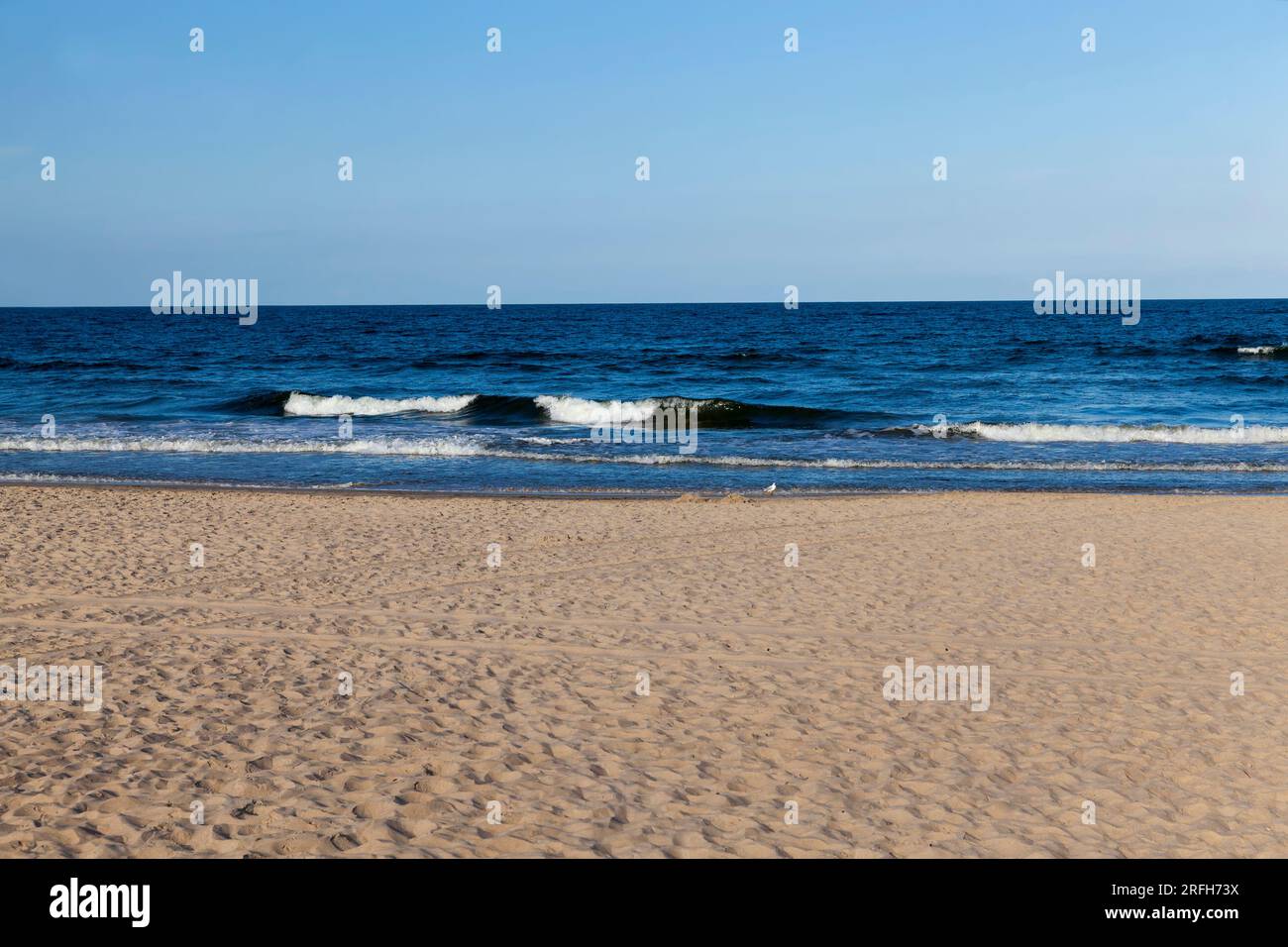 cold Baltic sea in August, summer holidays and seaside vacations 2022 Stock Photo - Alamy