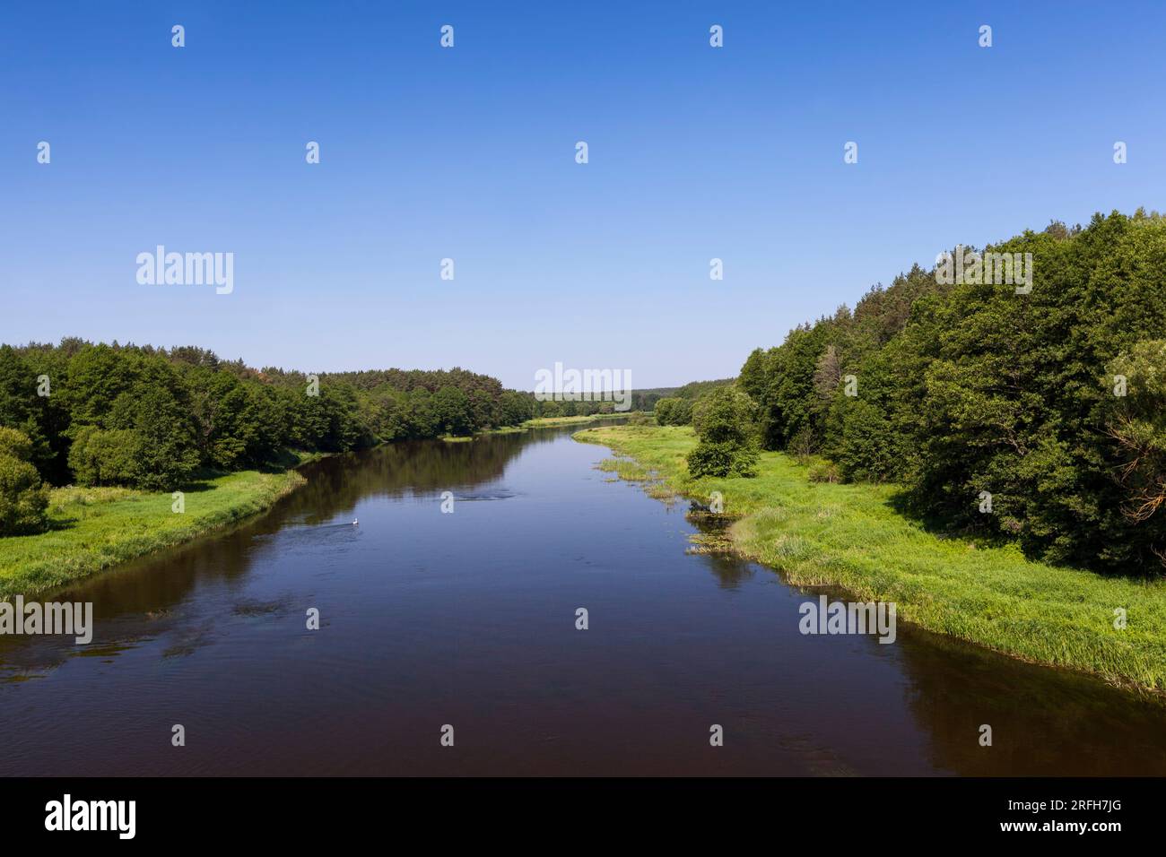 a summer landscape with green grass and deciduous trees and a river ...