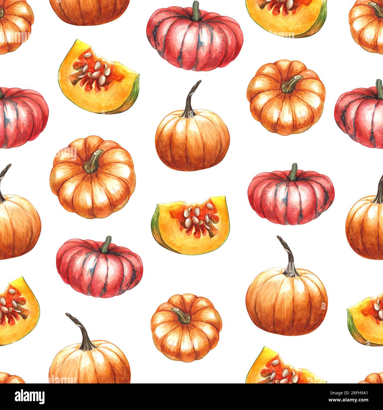 Pumpkins. Seamless pattern on a white background. Watercolor hand drawn illustration of bright ...