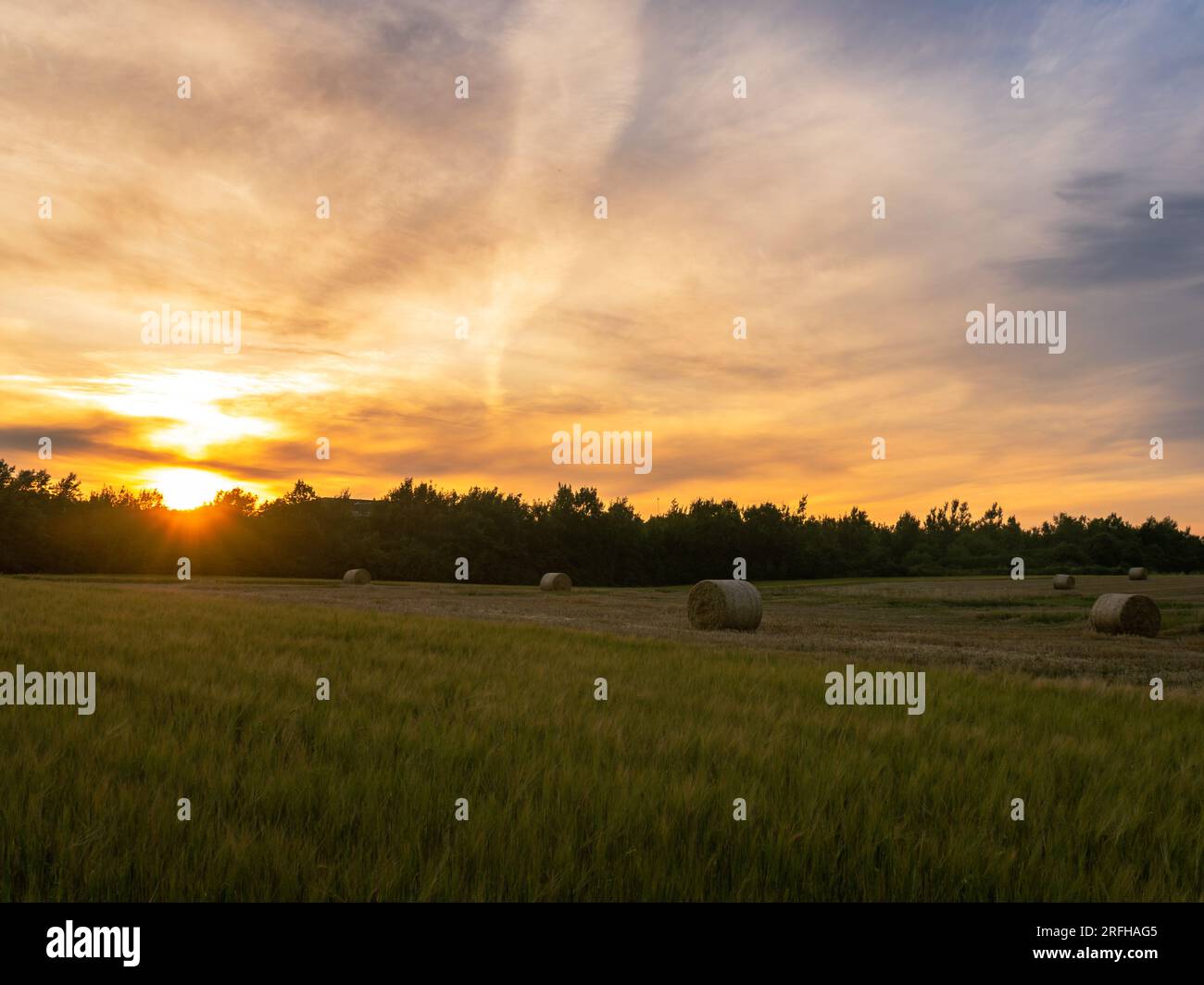 Sunset over a hay bale field in Mountgorry, Swords Stock Photo - Alamy