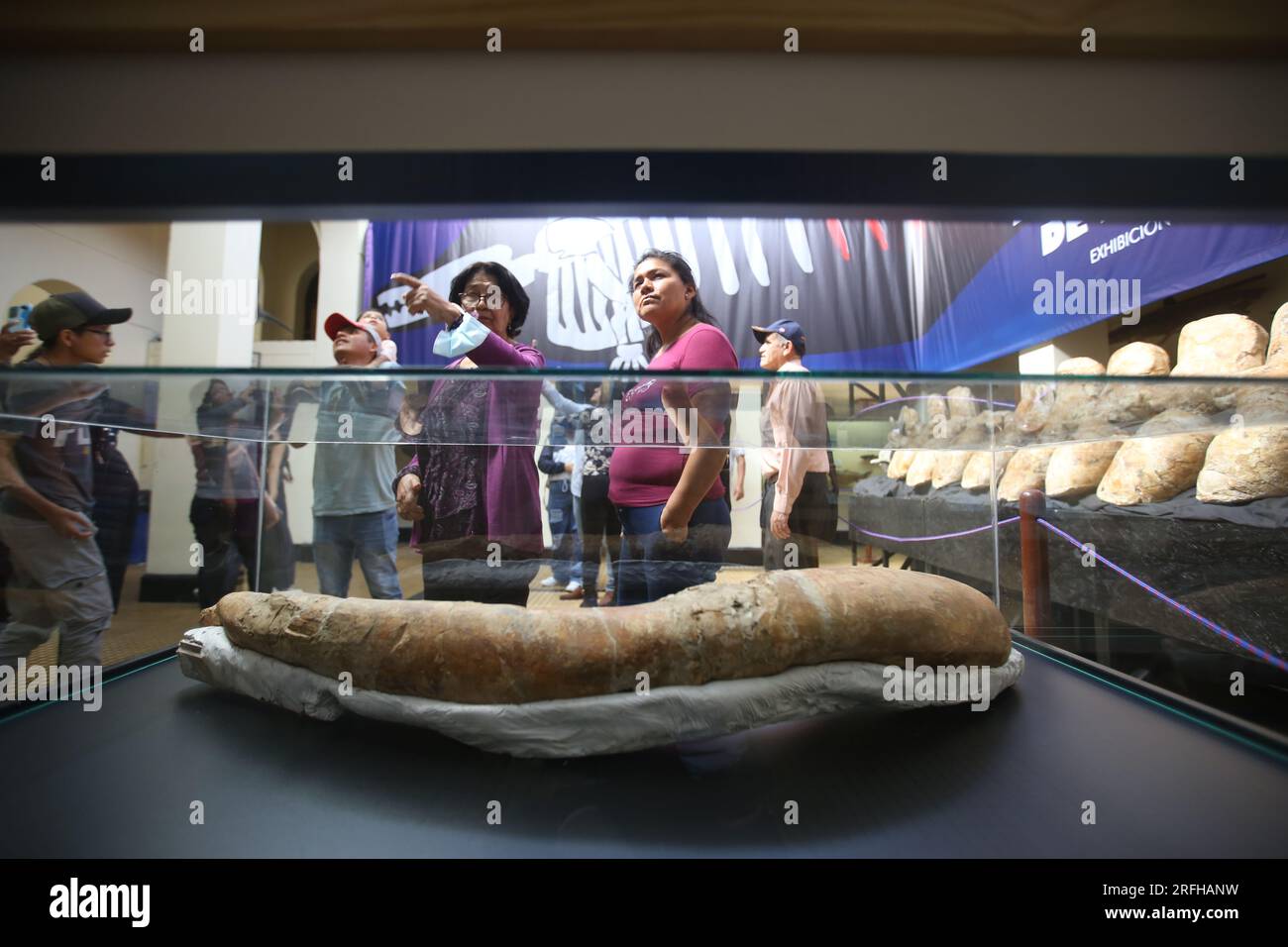 Lima, Peru. 03rd Aug, 2023. Visitors observe the approximately 39 ...