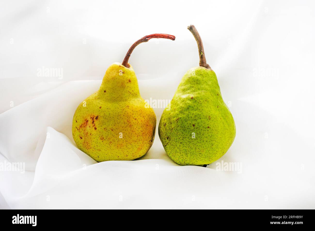 two fresh pears on a light fabric background. healthy eating Stock ...
