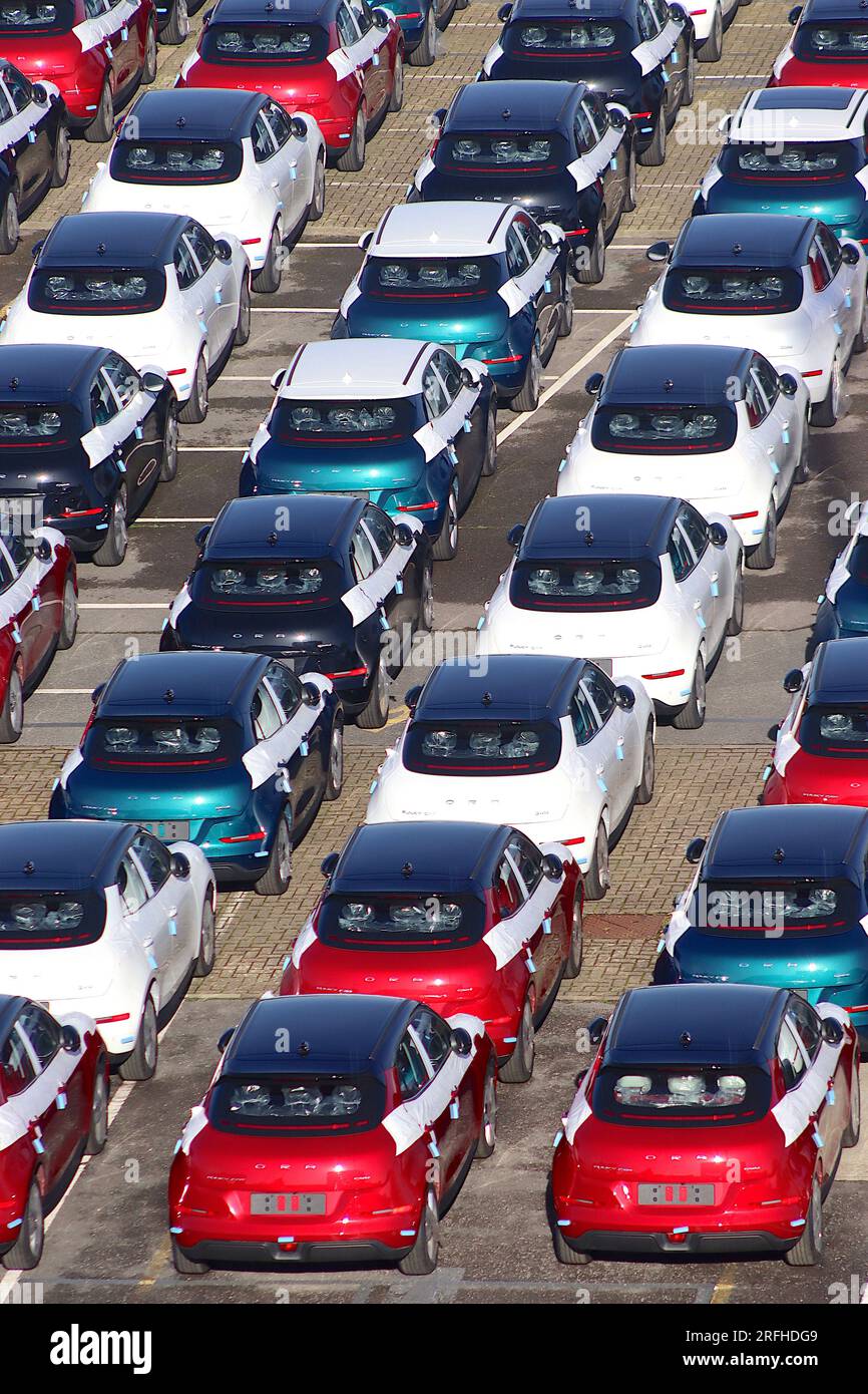 Looking down on rows of Chinese made ARO Funky Cat First Edition ...