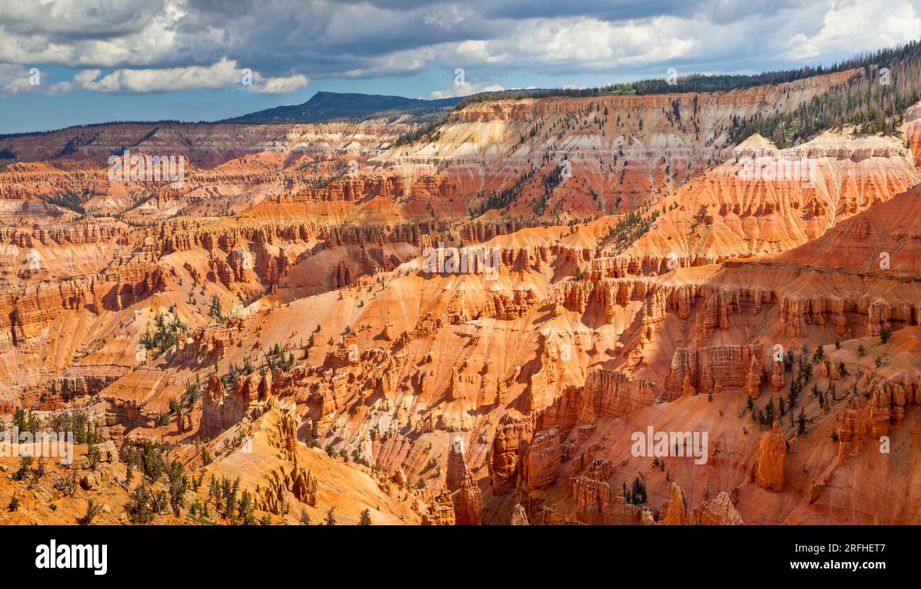 Panorama of red cliff formations in Cedar Breaks National Monument in ...