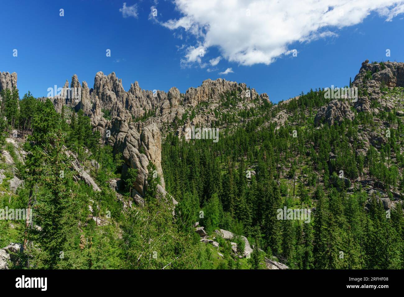 Black Hills South Dakota, Cathedral Spires, Sunrise, Alpenglow. View ...