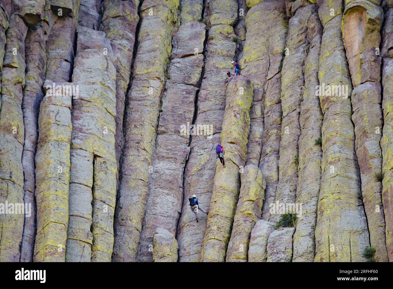 Climbing team scaling Devil's Tower National Monument, Wyoming, Black hills, Ascending devils ...
