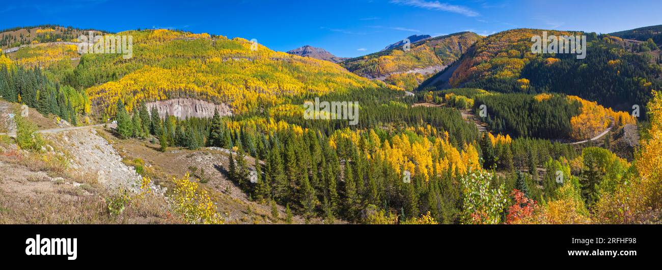 Panorama of autumn color with Aspen trees on the "Million Dollar ...