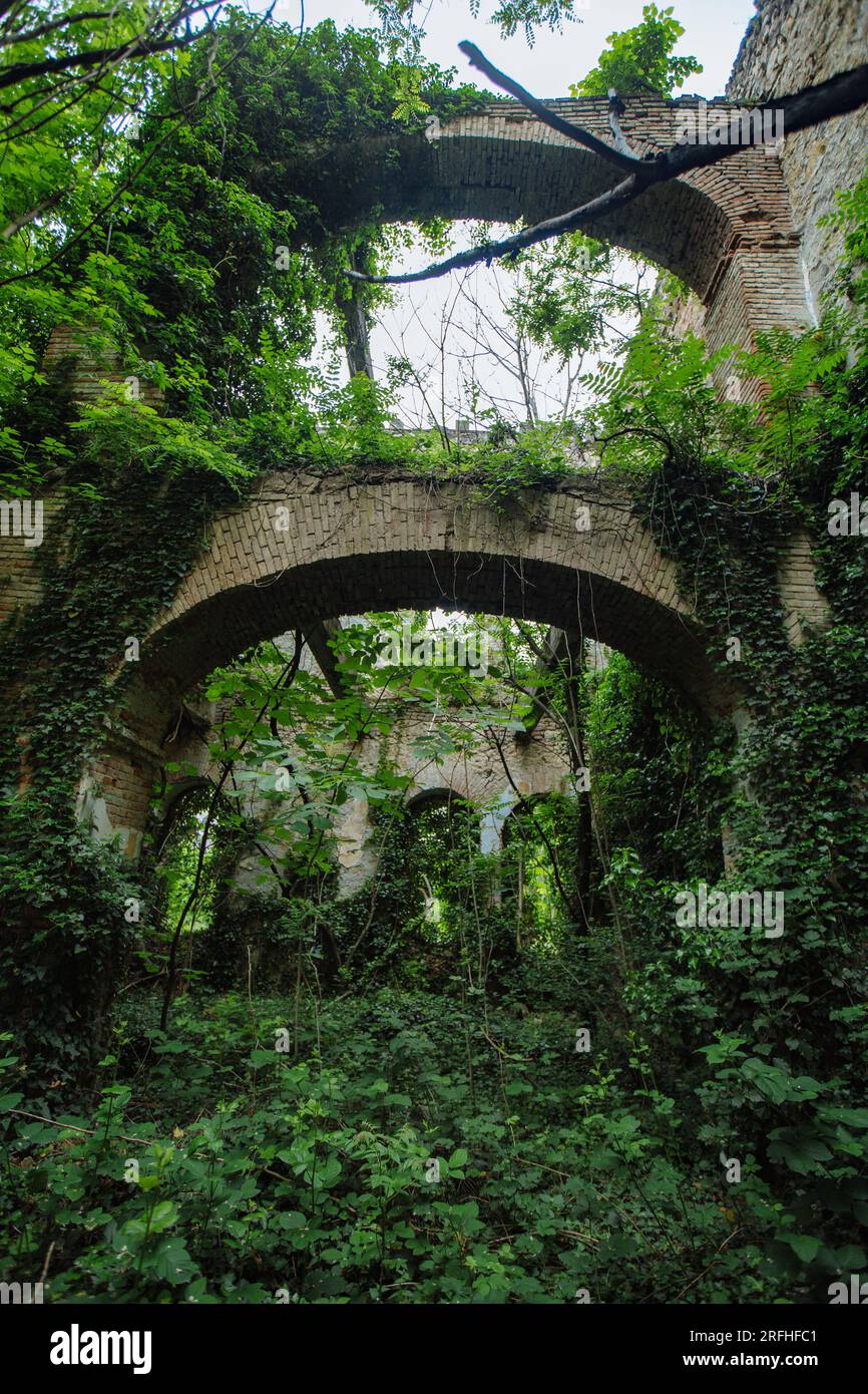 Old ruins of historical building overgrown by vegetation green post ...