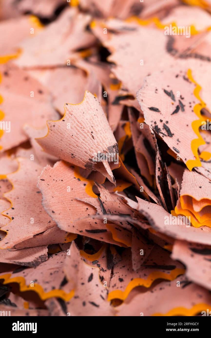 the garbage that was left after sharpening pencils, wood and graphite ...