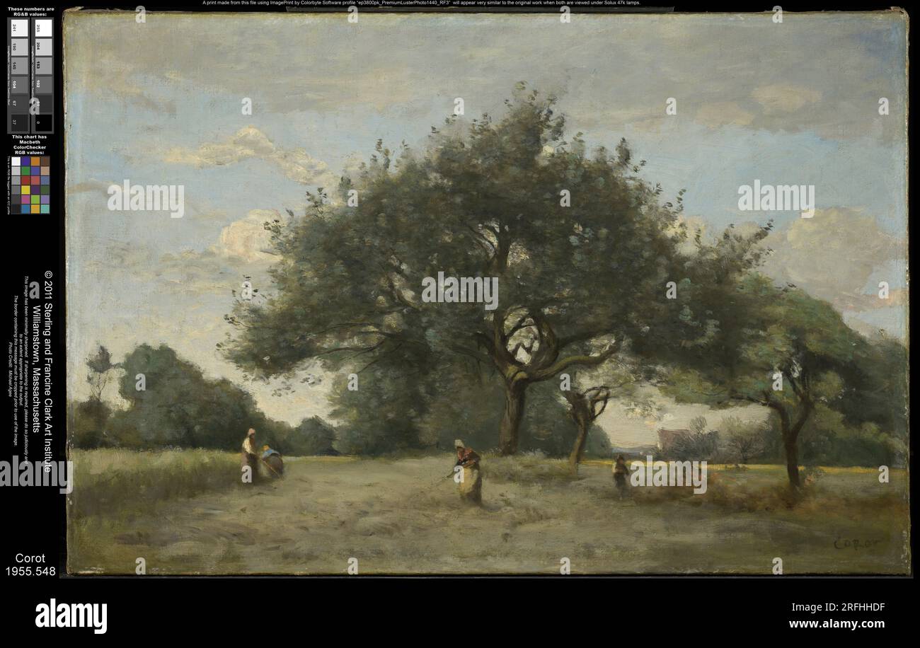 Apple Trees in a Field 1867 by Jean Baptiste Camille Corot Stock Photo ...