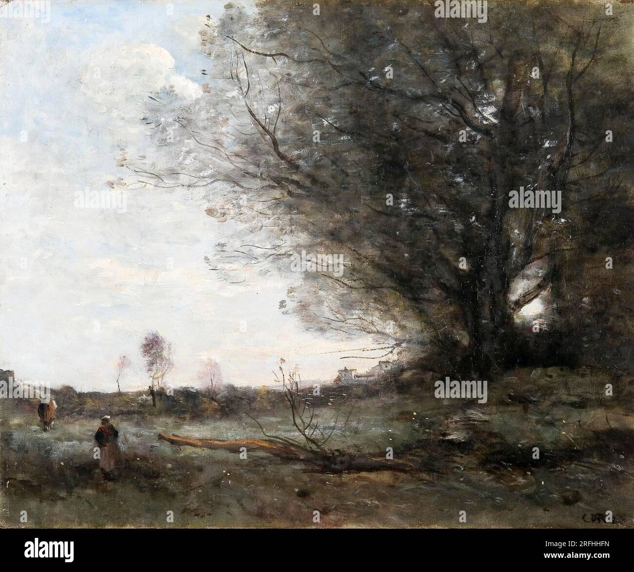 The Beech Tree 19th century by Jean-Baptiste Camille Corot Stock Photo ...