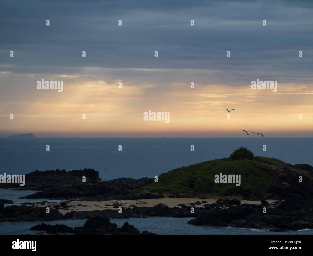 Spectacular ocean Scenery and birds flying in a majestic illuminated ...