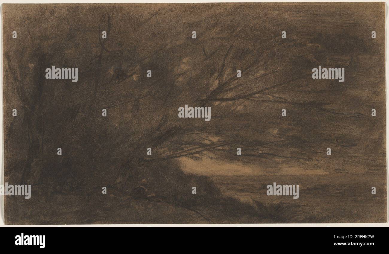 Landscape (The Large Tree) 1865 by Jean-Baptiste Camille Corot Stock ...