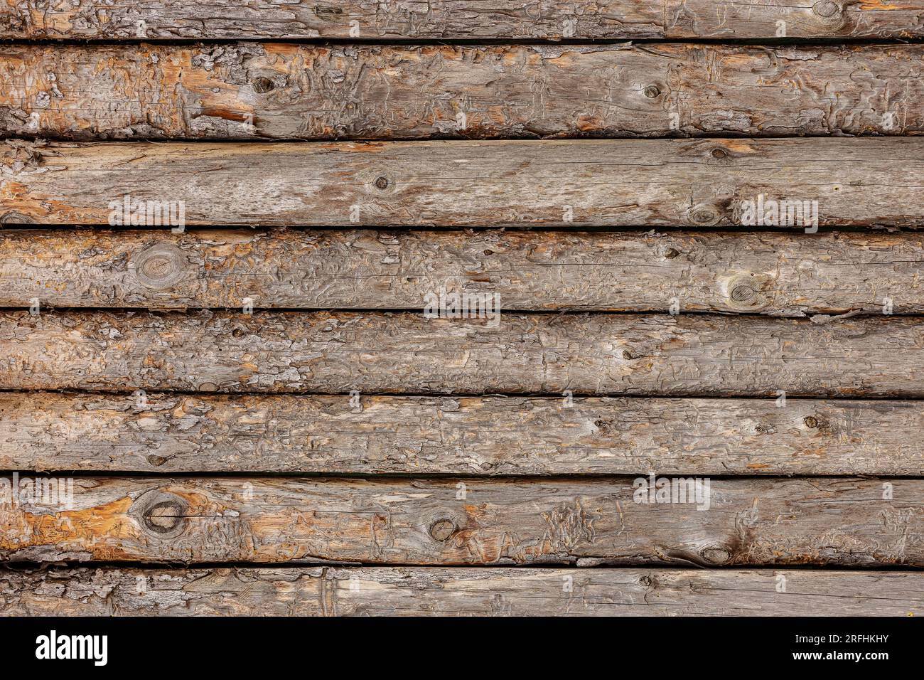 Rough wood texture. The walls of a country house are made of rough logs ...