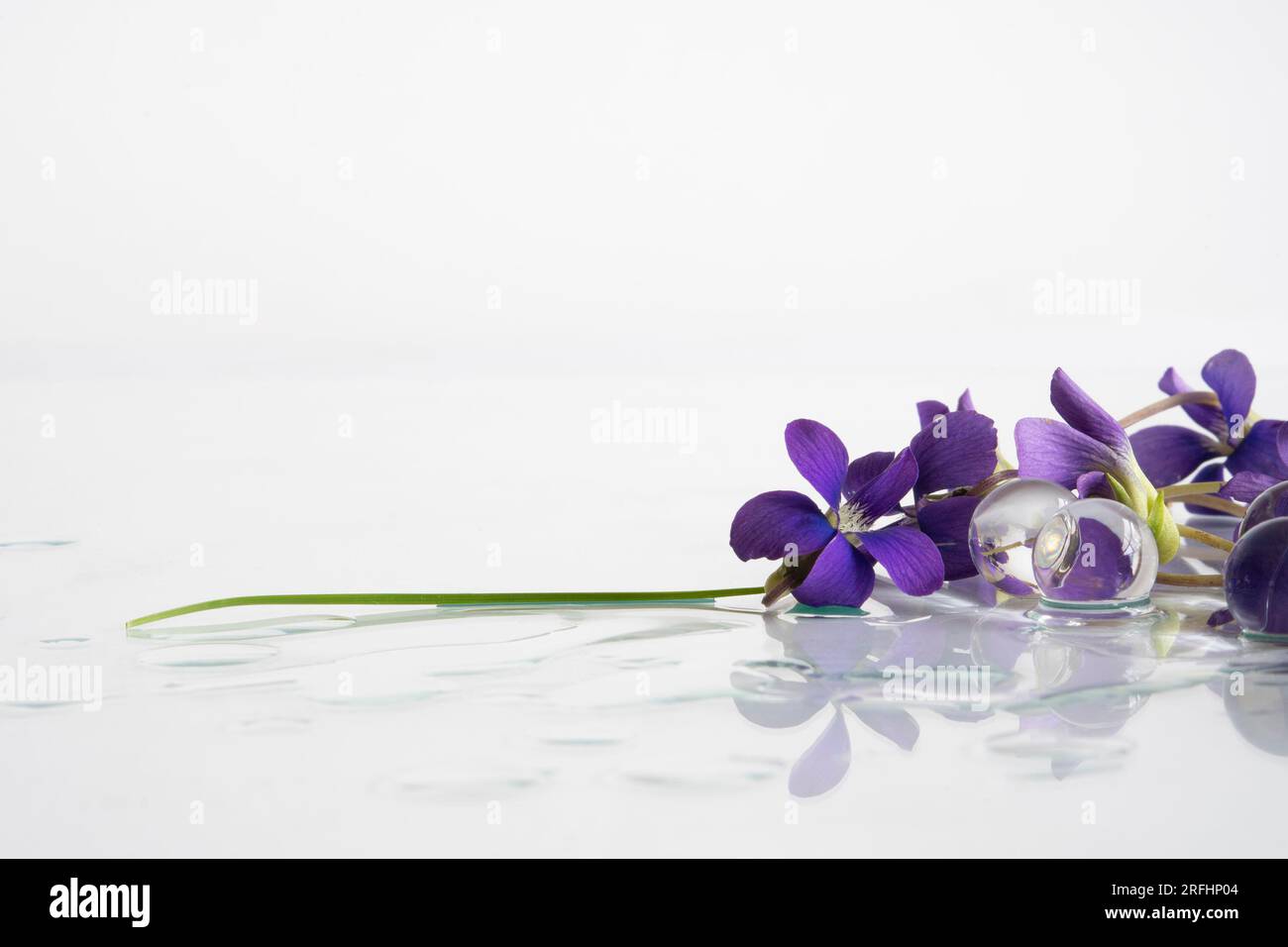 Serene flowers hi-res stock photography and images - Alamy