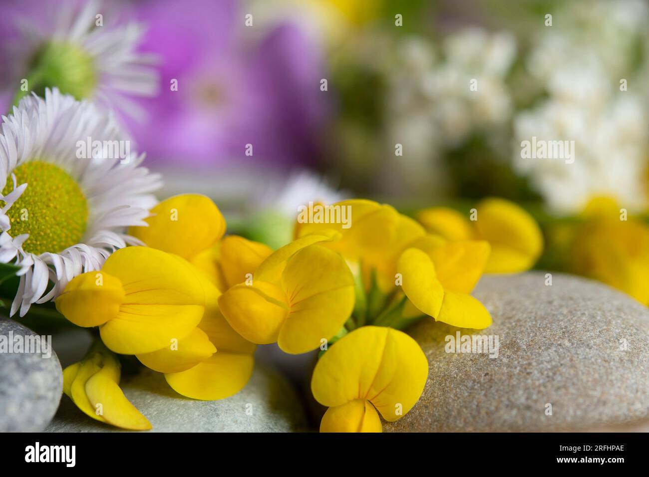 Mindful balance hi-res stock photography and images - Alamy