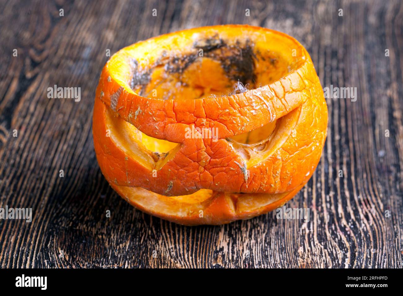 pumpkin for Halloween celebration covered with mold, scary and ugly ...